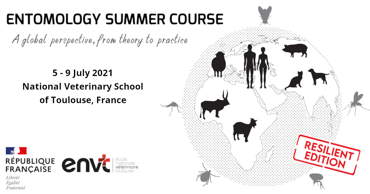 Entomology Summer Course