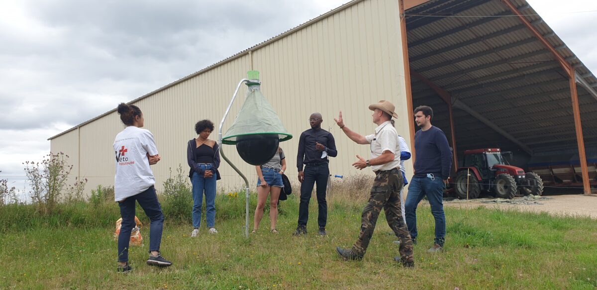 Laboratory and field work - Entomology Summer Course