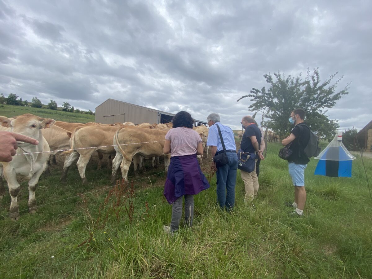 Laboratory and field work - Entomology Summer Course