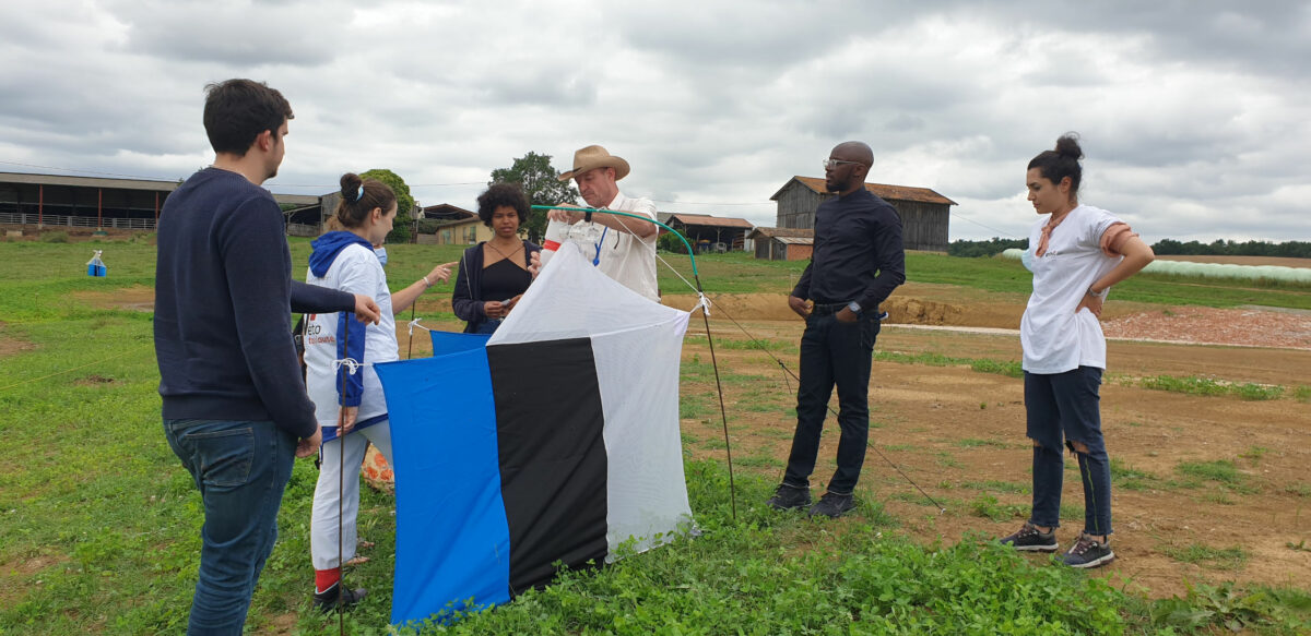 Entomology Summer Course - Entomology Summer Course