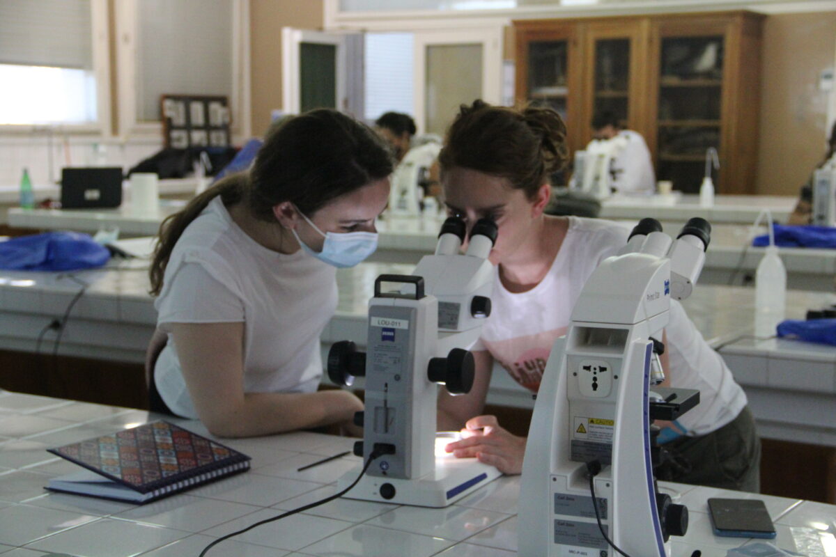 Laboratory and field work - Entomology Summer Course