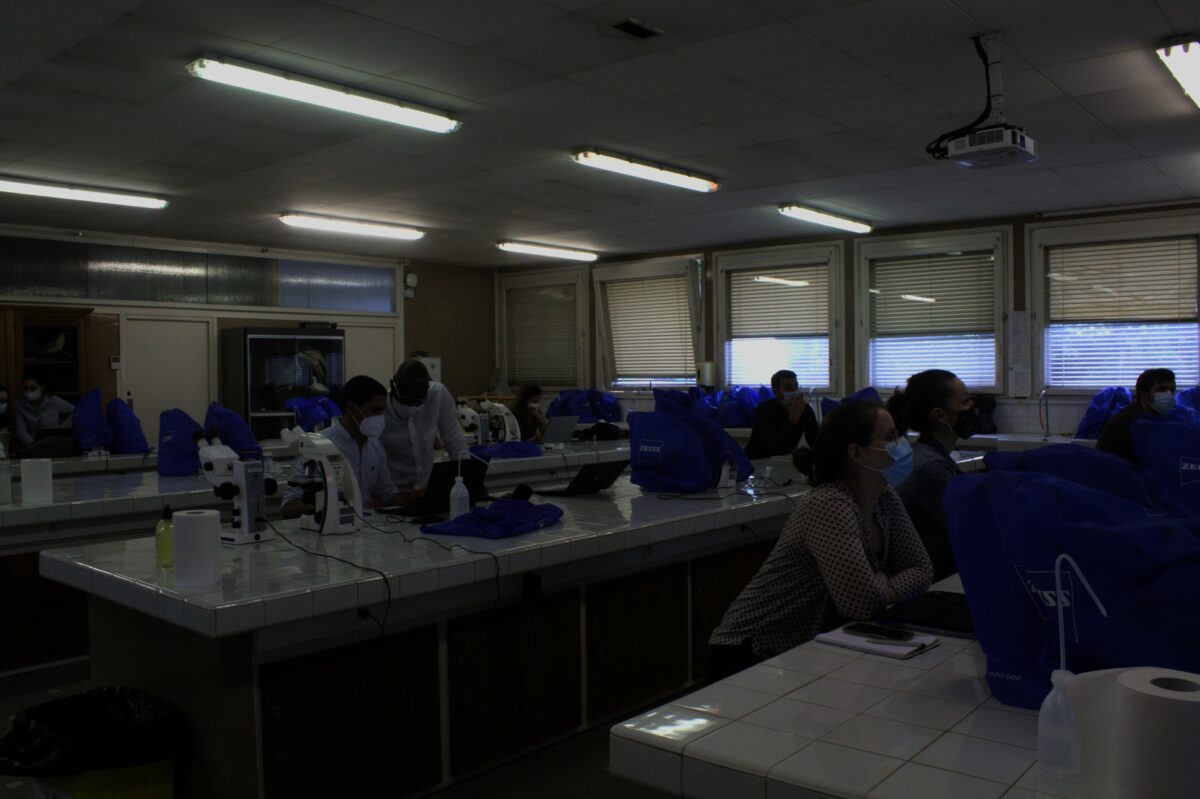 Laboratory and field work - Entomology Summer Course